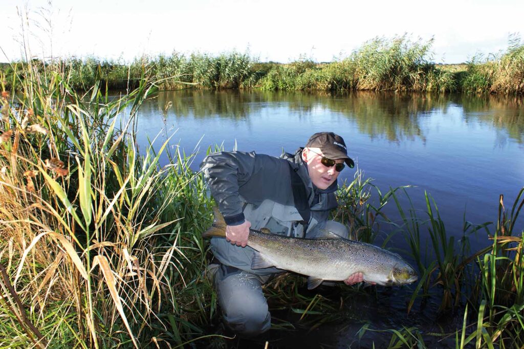 Luk og sluk - efterårslaks i Storåen - Fisk & Fri