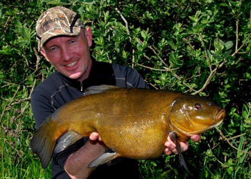 Gigantisk suder - Fisk & Fri