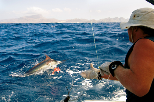 Foredrag hos Tunklubben - Fisk & Fri