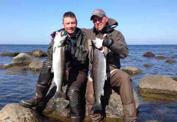 RELEASE SUCCES I SVERIGE - Fisk & Fri