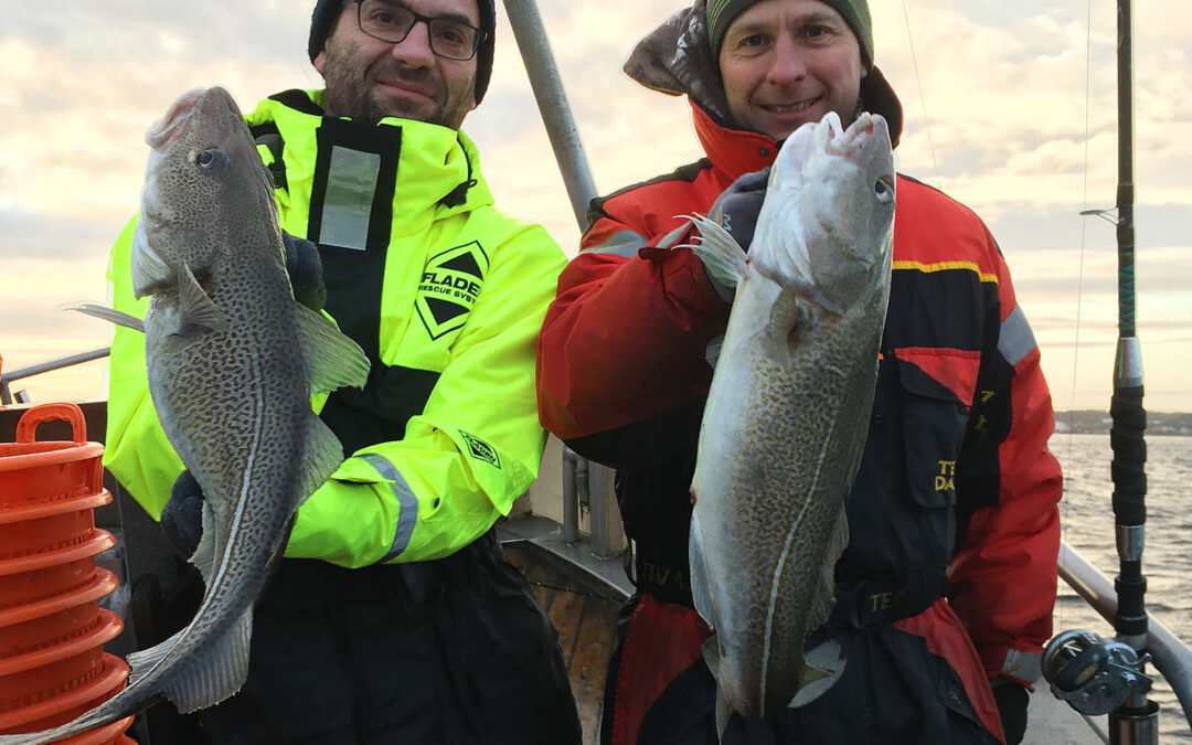 Gang i torskene på Jaws - Fisk & Fri