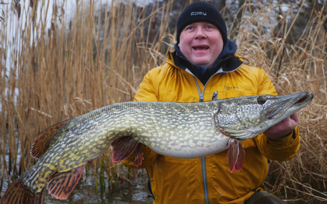 115 centimeters gedde til Michael Beck Hansen - Fisk & Fri