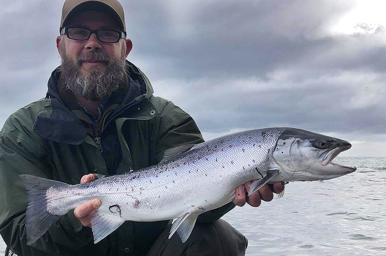 Fin havørred fra Falster - Fisk & Fri
