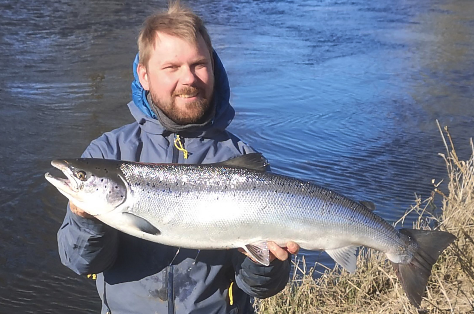 Fin laks fra Gudenåen - Fisk & Fri