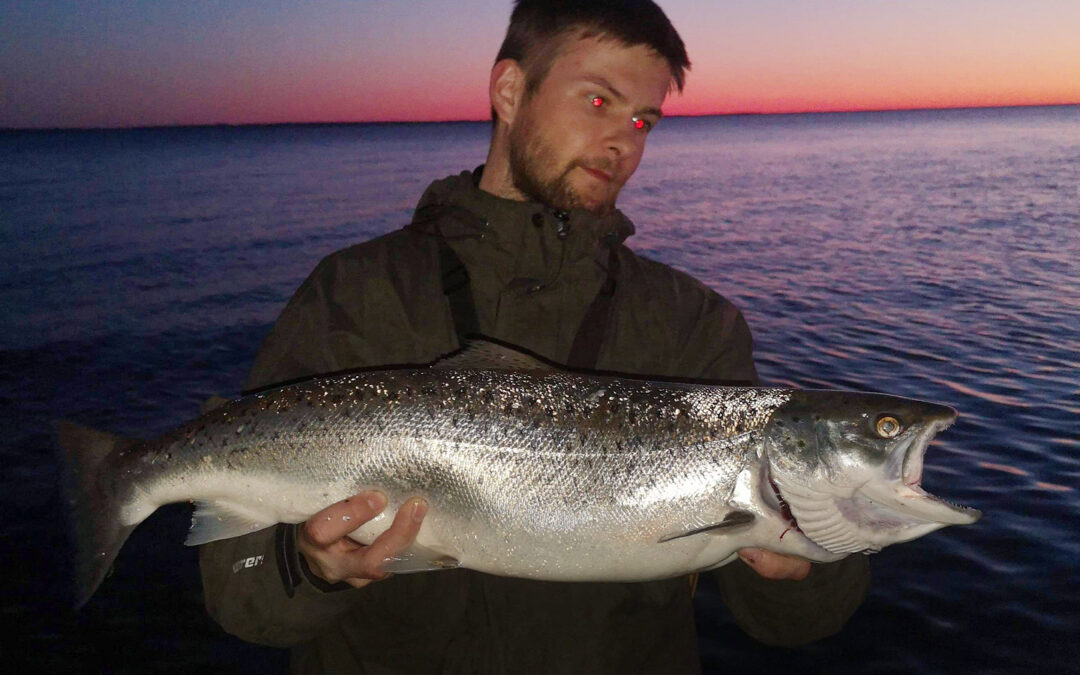 En flot overspringer fra Vestfyn - Fisk & Fri