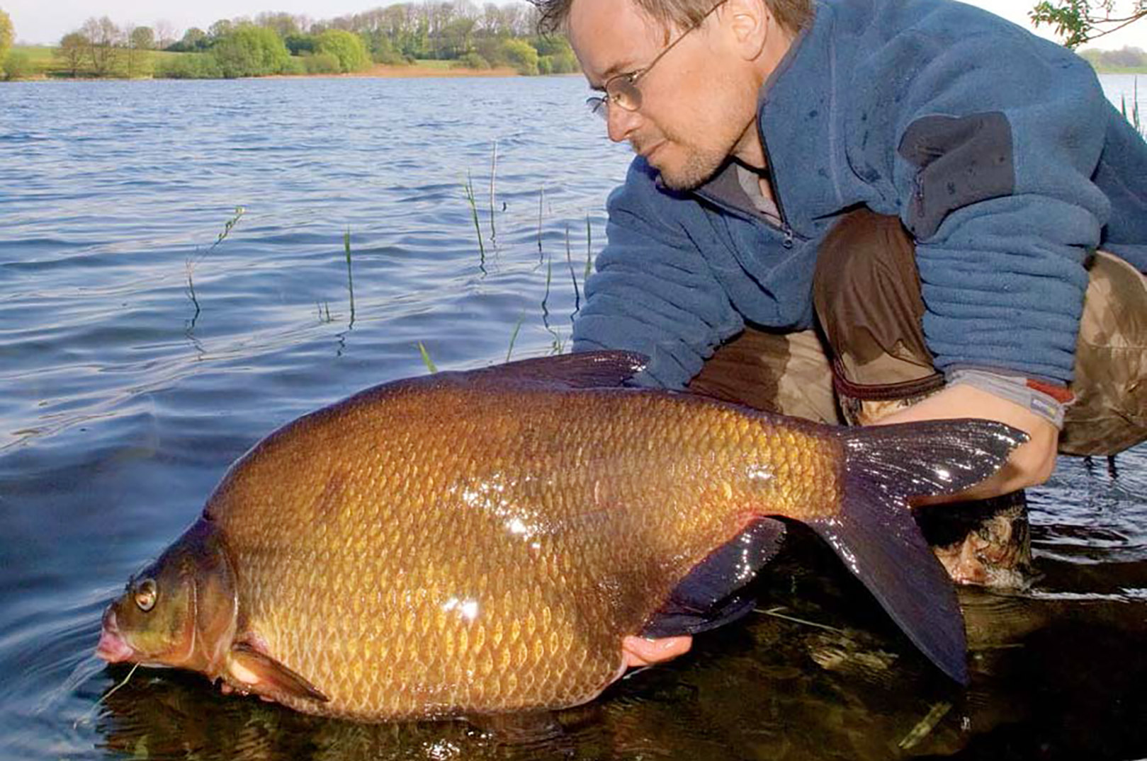 NÅR STORBRASENEN HUGGER - Fisk & Fri