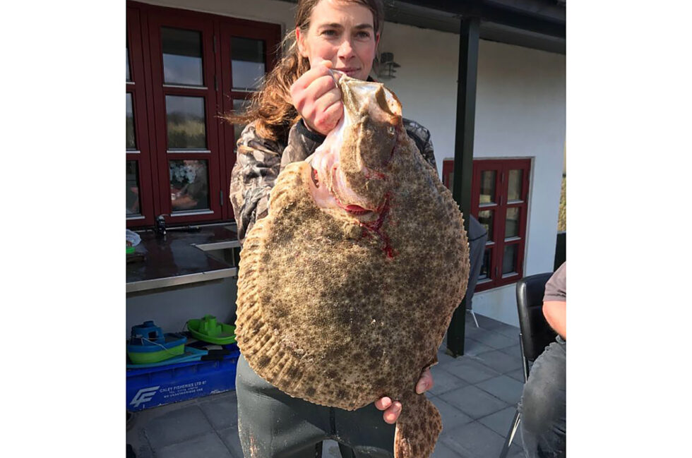 Den første Pighvar - Fisk & Fri