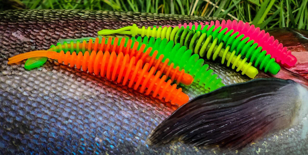 Med T-Worm i P&T-søen - Fisk & Fri