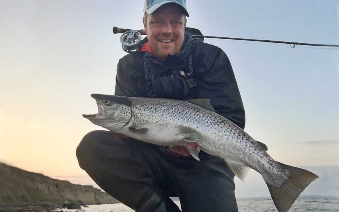 En havørred fra der, hvor hjertet bor - Fisk & Fri