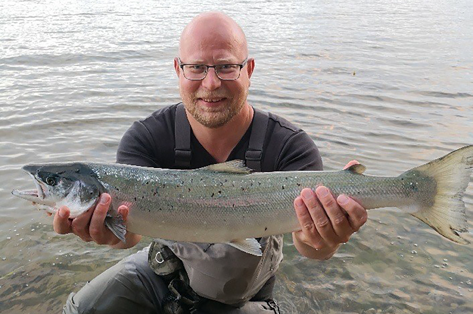 Laks fra Lillebælt - Fisk & Fri