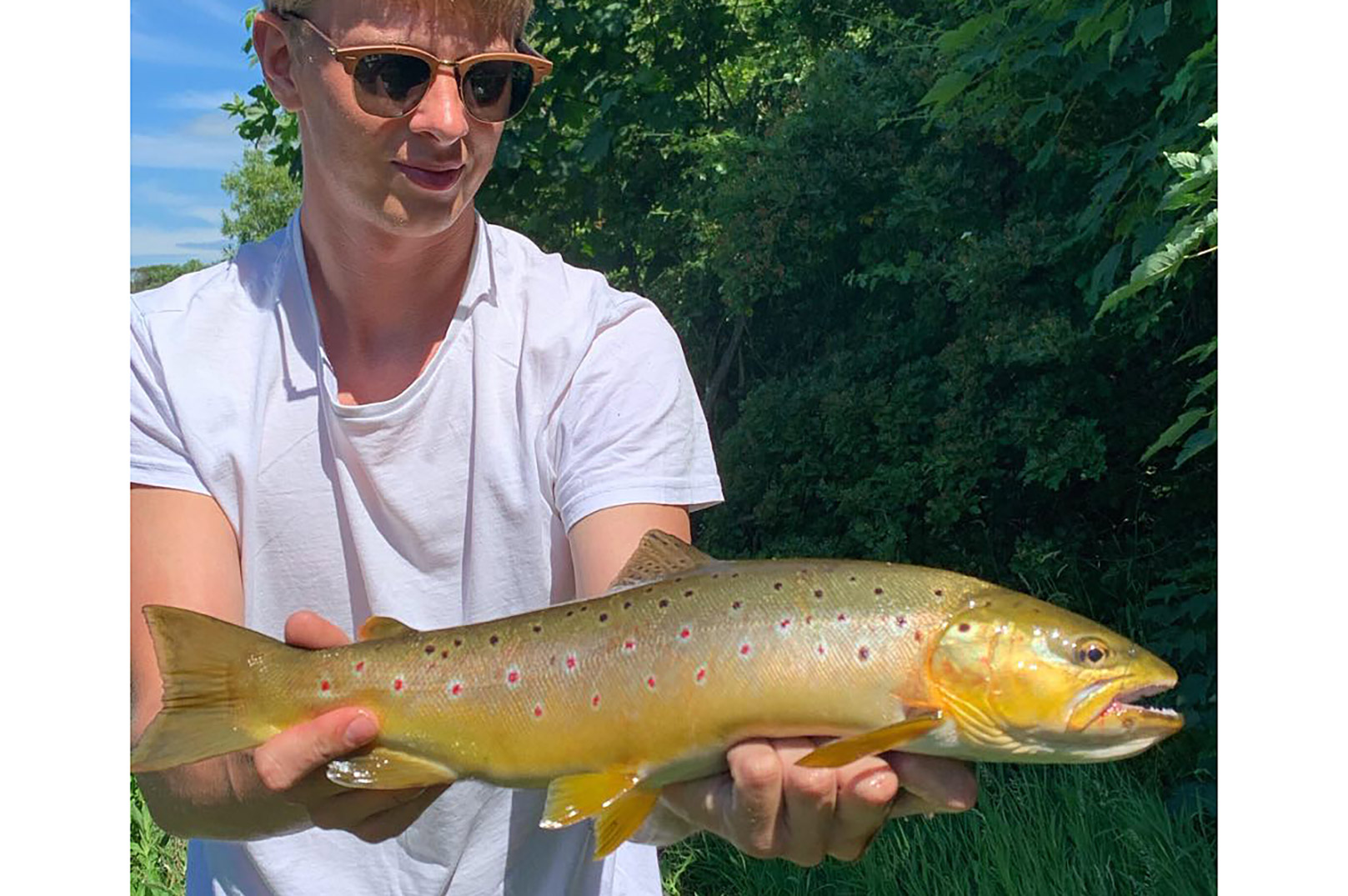 Ny PR bækørred blev belønningen - Fisk & Fri