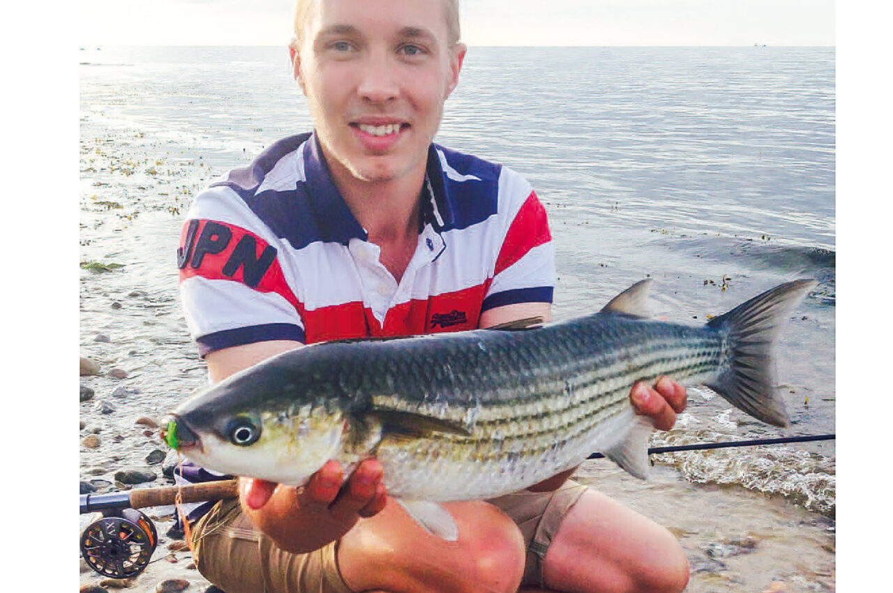 MED KYSTFLUE EFTER MULTER - Fisk & Fri