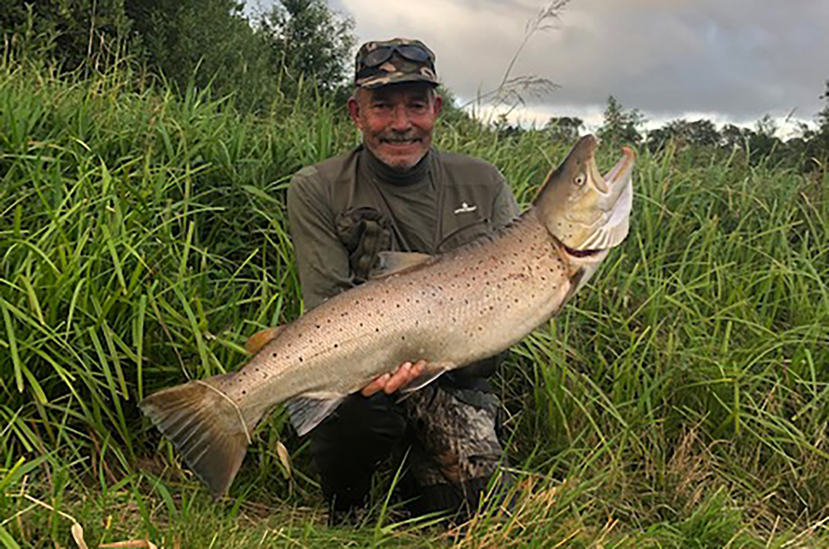 Kæmpehavørred fra Karup Å - Fisk & Fri