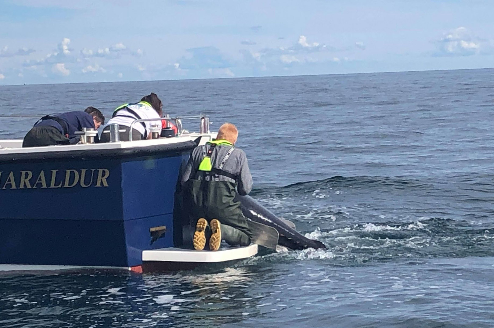 TUNFISKERIET FORTSÆTTER I DAG - Fisk & Fri