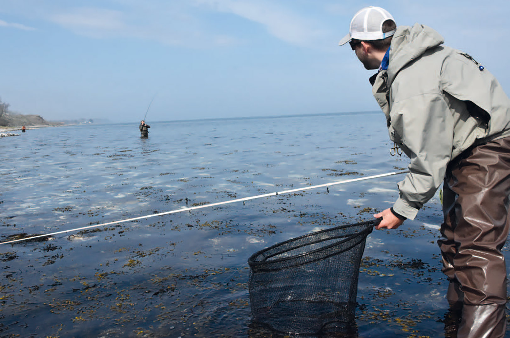 ØSTFYNSKE KYSTSPOTS - KAJBJERG SKOV OG TÅRUP STRAND - Fisk & Fri