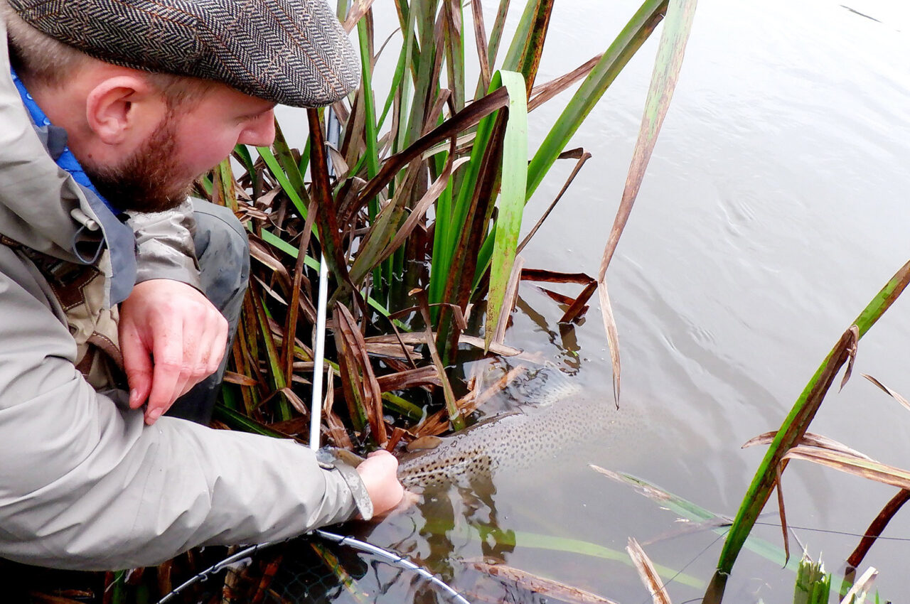 En solid havørred på fluen - Fisk & Fri