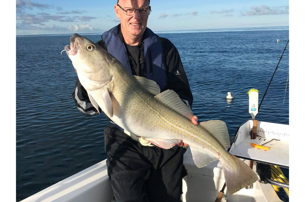 Det Gule Rev Arkiv - Fisk & Fri