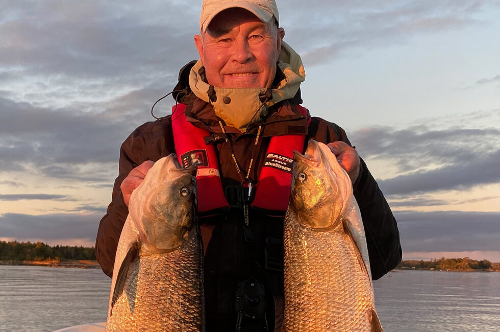 Dansk asp-bonanza på Vänern - Fisk & Fri