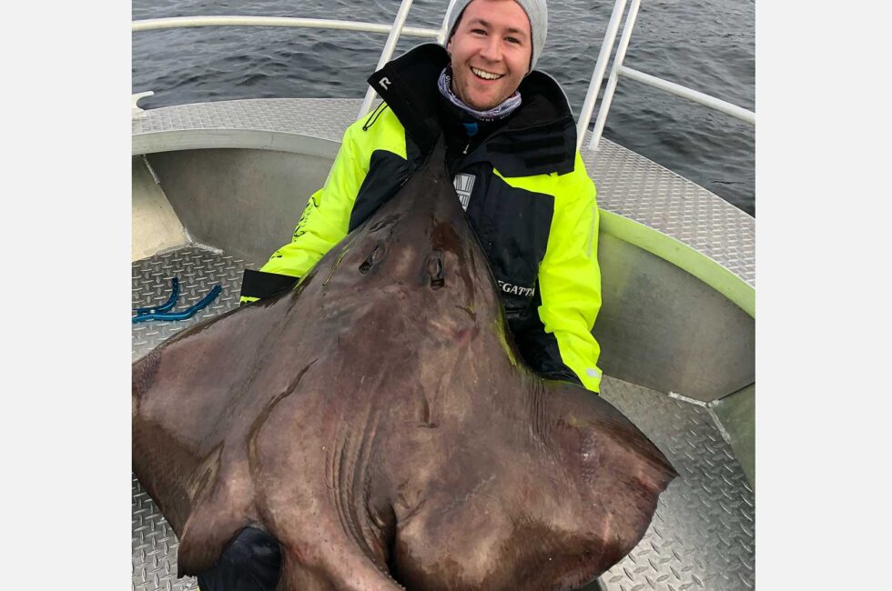 SORTBUGET ROKKE - EN SJÆLDEN FANGST FRA NORGE - Fisk & Fri