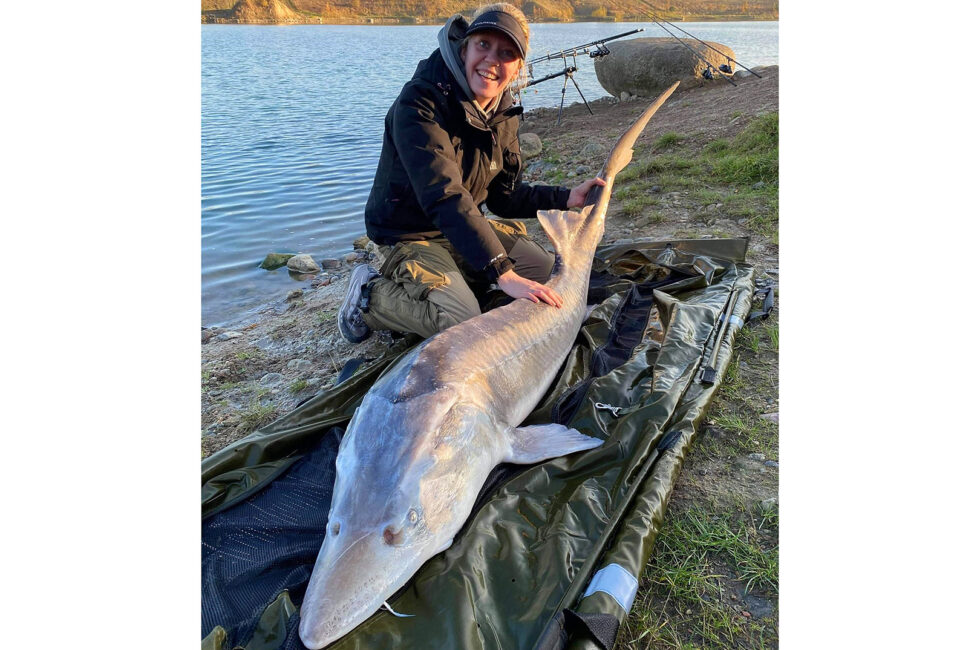 EN DEJLIG SØNDAG MED BELUGA PÅ LAND I BLUE ROCK - Fisk & Fri