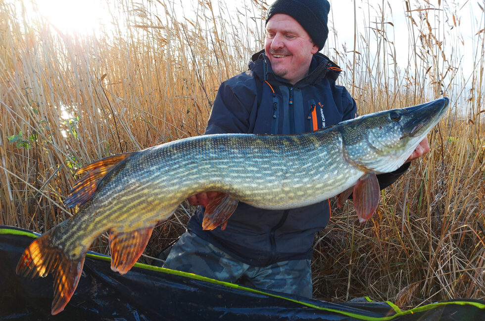 3 × PR på gedde - Fisk & Fri