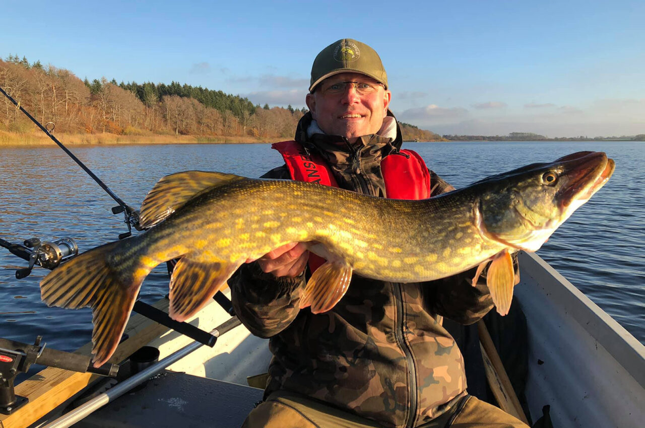 GEDDER OVER DEN FLADE BUND - Fisk & Fri