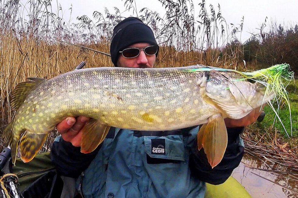 ACTION PÅ GEDDEFLUESTANGEN - Fisk & Fri