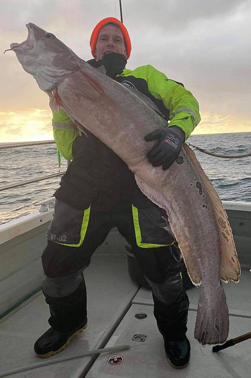 KÆMPELANGE FRA DET GULE REV - Fisk & Fri