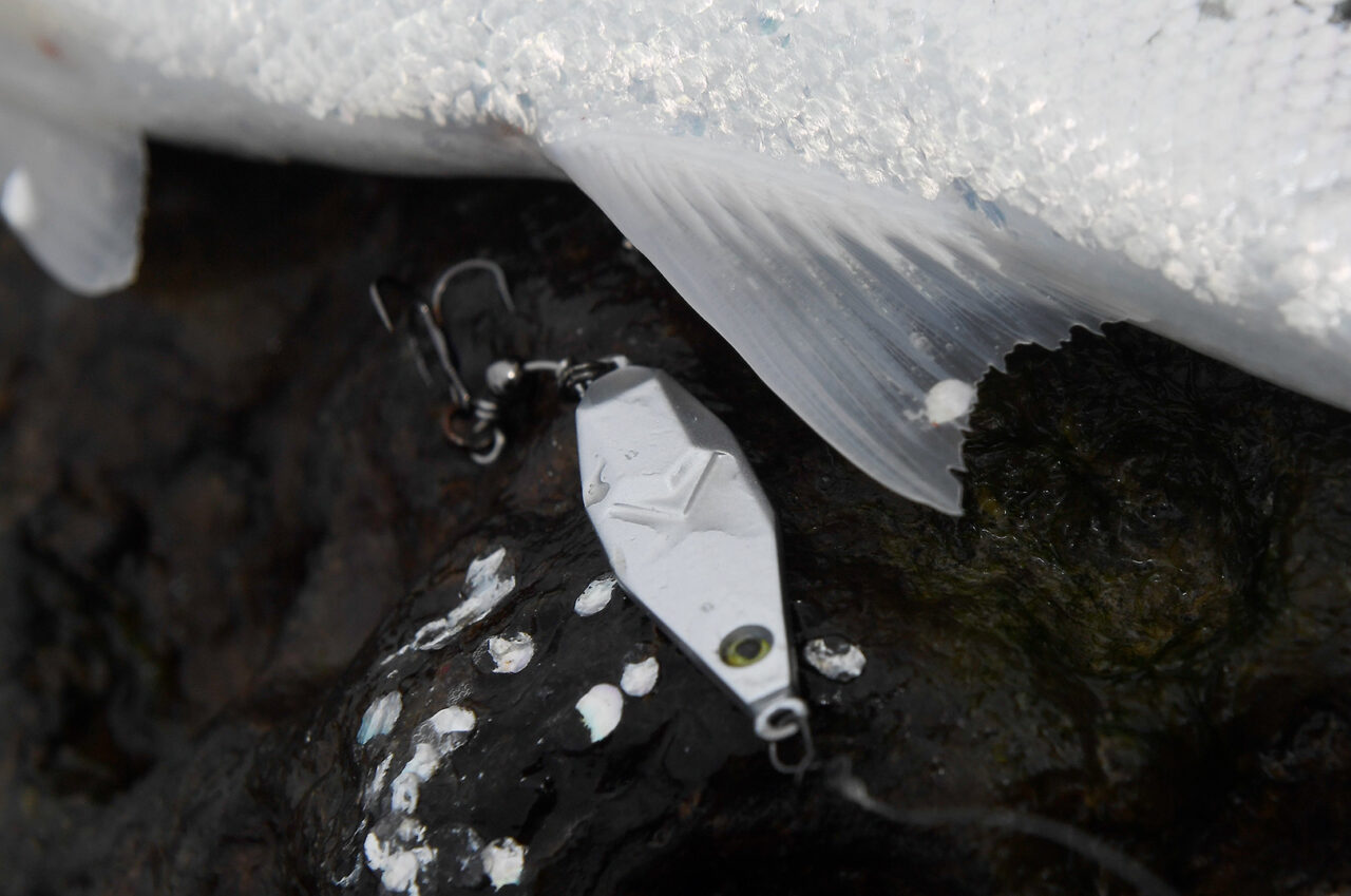 VIND RHINO DIAMOND TUNGSTEN BLINK – OG KAST LÆNGERE - Fisk & Fri