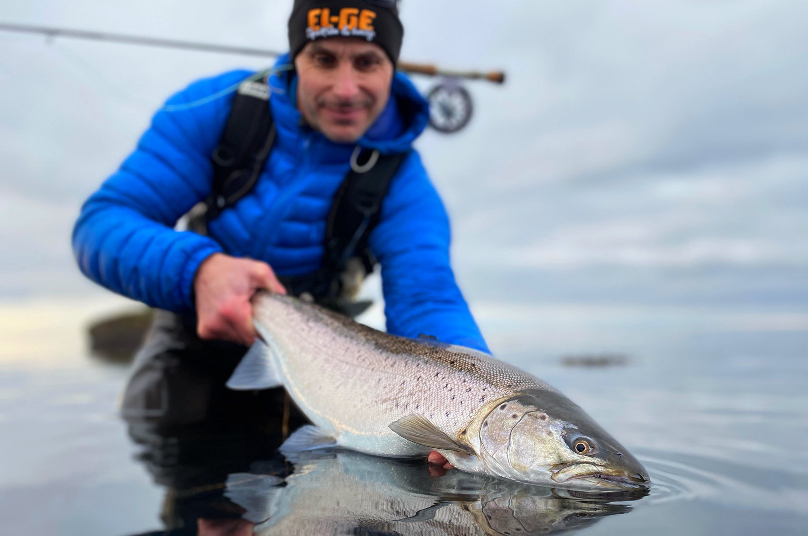 FLOT HAVØRRED PÅ FLUE FRA ØRESUND - Fisk & Fri