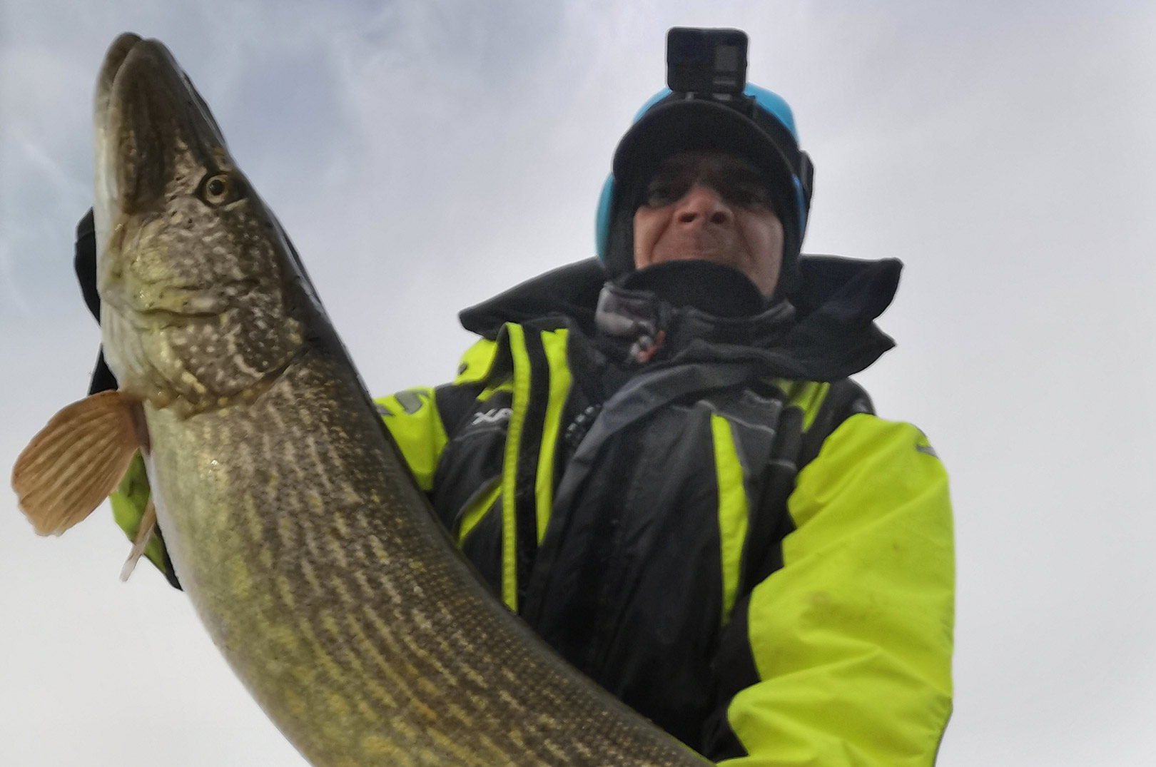 EN GEDDE MED HANG TIL GUMMI - Fisk & Fri