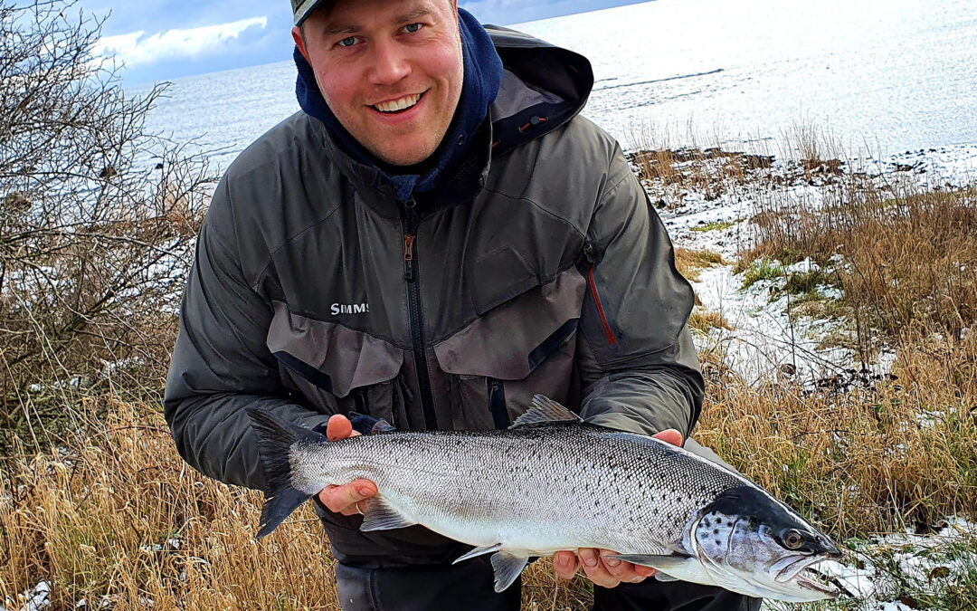 SMUKKE BLANKFISK FRA BORNHOLM - Fisk & Fri