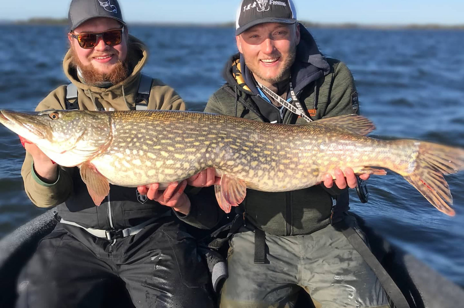 Storgedde fra svenske Vänern - Fisk & Fri