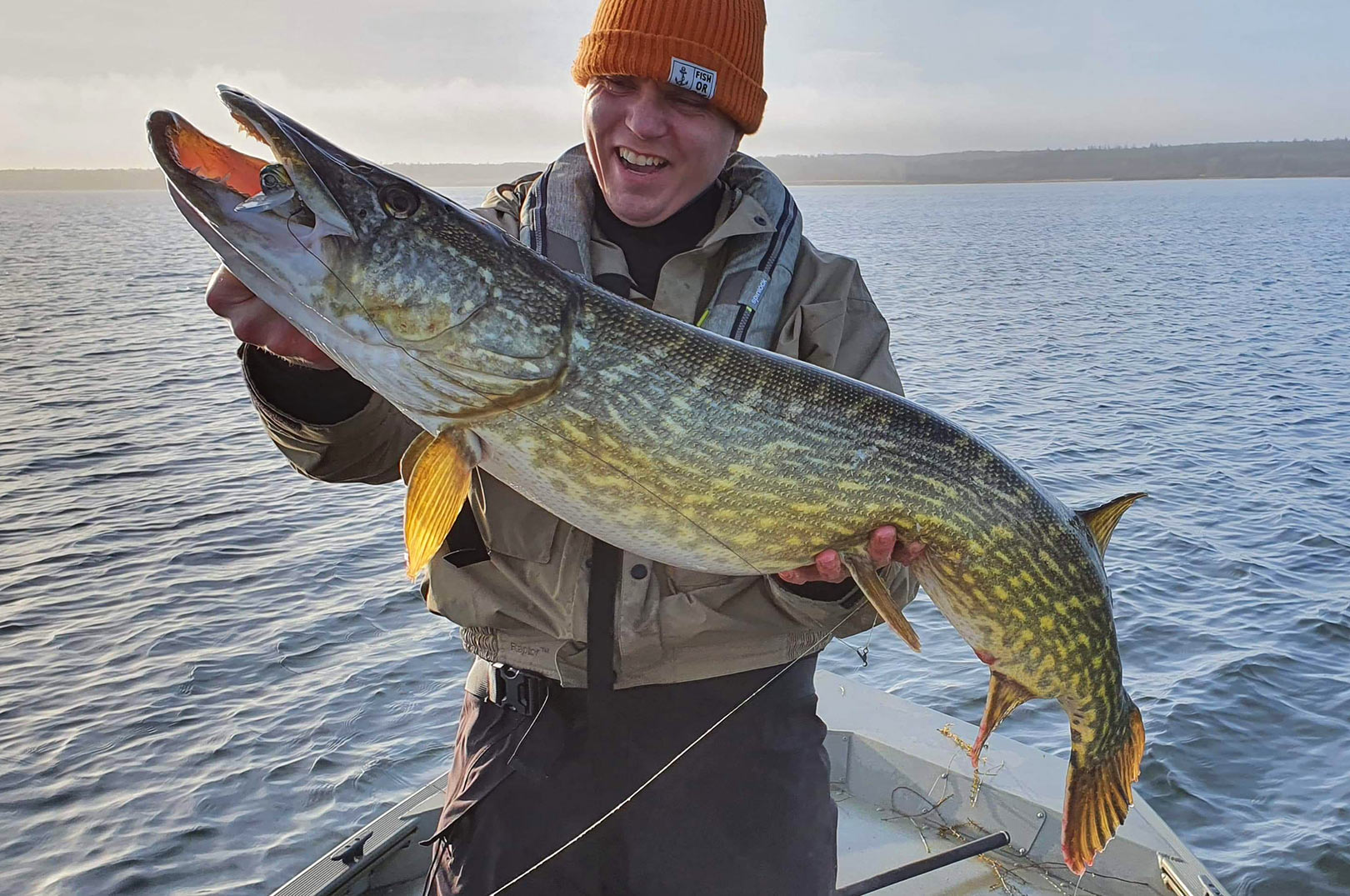 Jagten på storgedden - Fisk & Fri