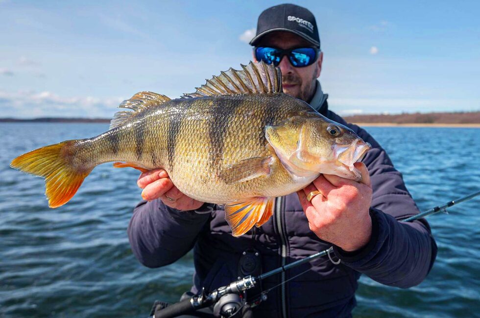 65 GRAM FRA ABORRE-REKORDEN - Fisk & Fri