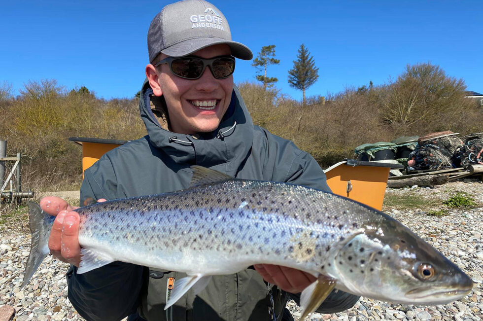 SO MANY FISH - SO LITTLE TIME… - Fisk & Fri