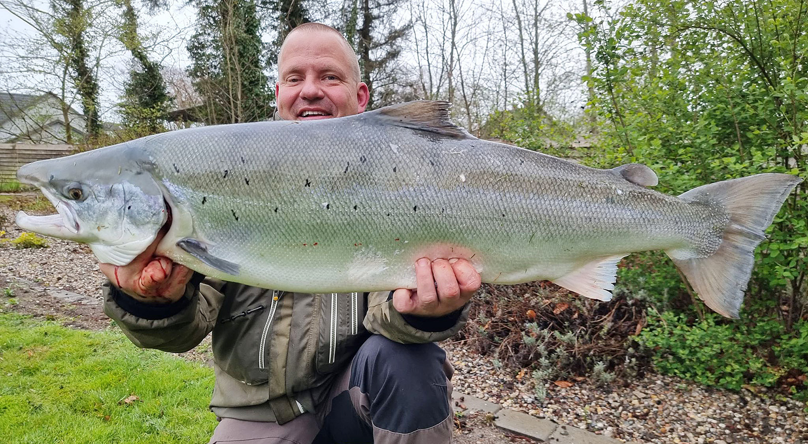 FLADSÅ LAKS NAPPER SPINNER - Fisk & Fri