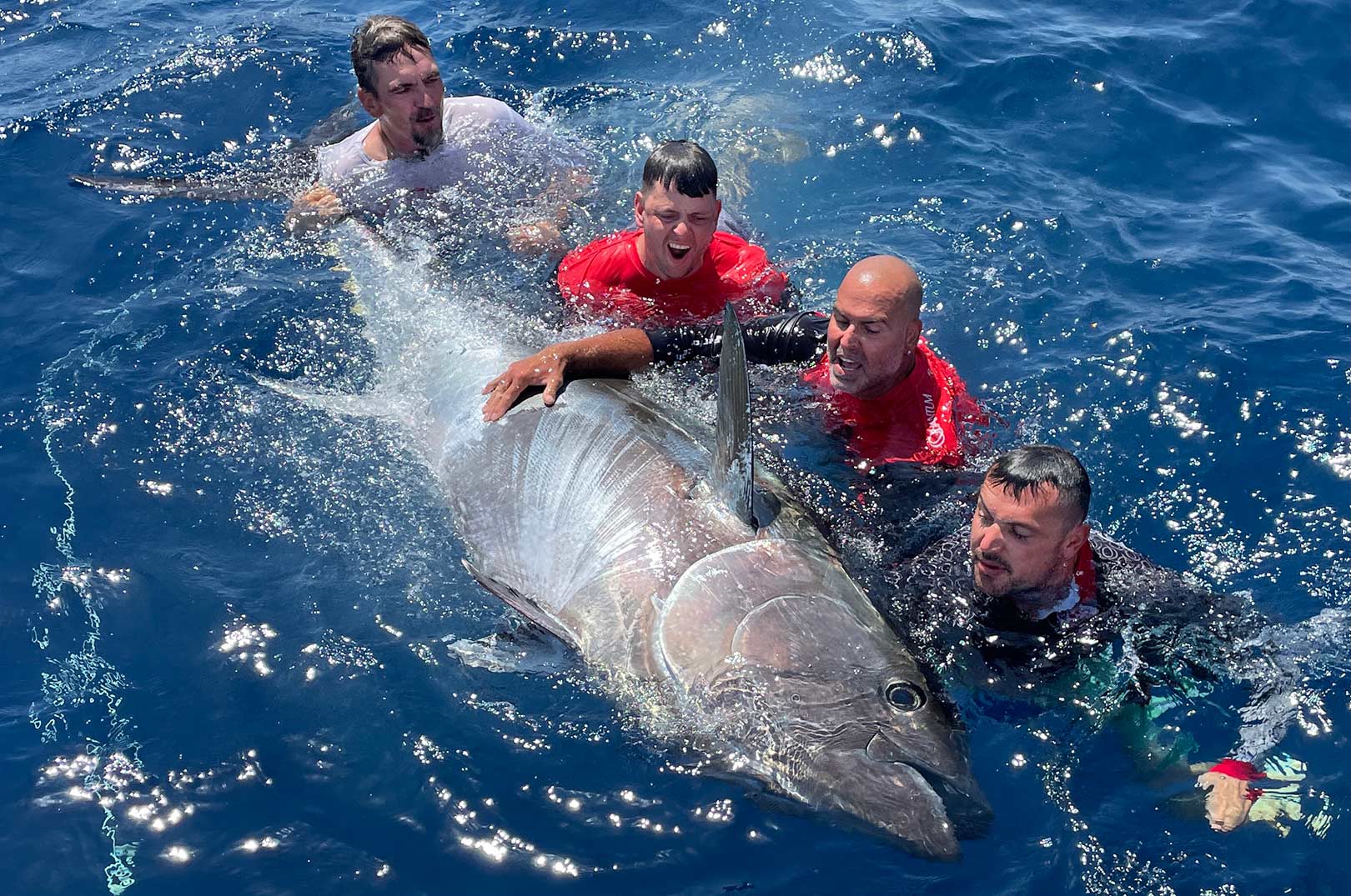 MEGATUN VED MALLORCA - Fisk & Fri