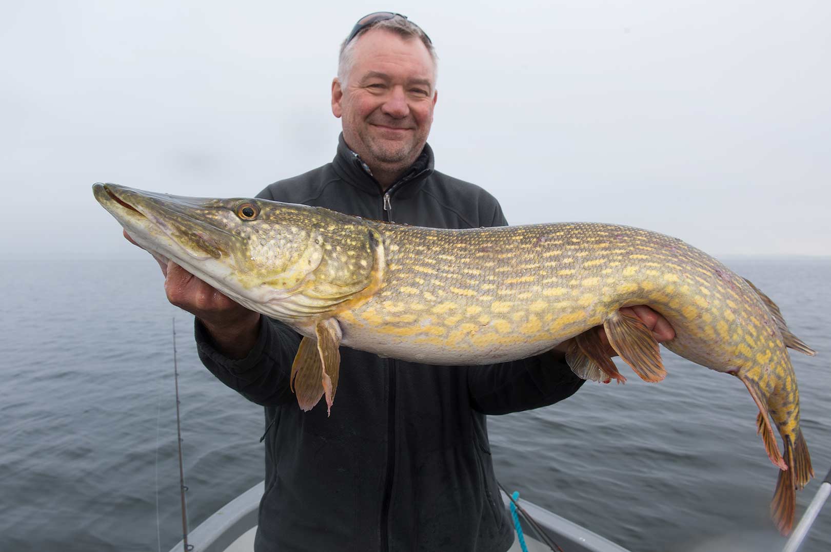 NYE FREDNINGSTIDER PÅ GEDDE OG HAVØRRED - Fisk & Fri