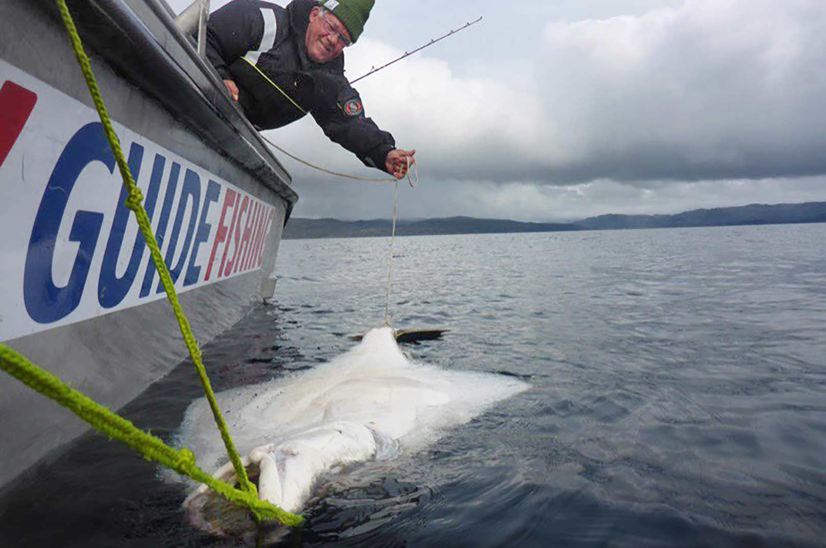 FLOTTE NORDNORSKE HELLEFLYNDERE - Fisk & Fri