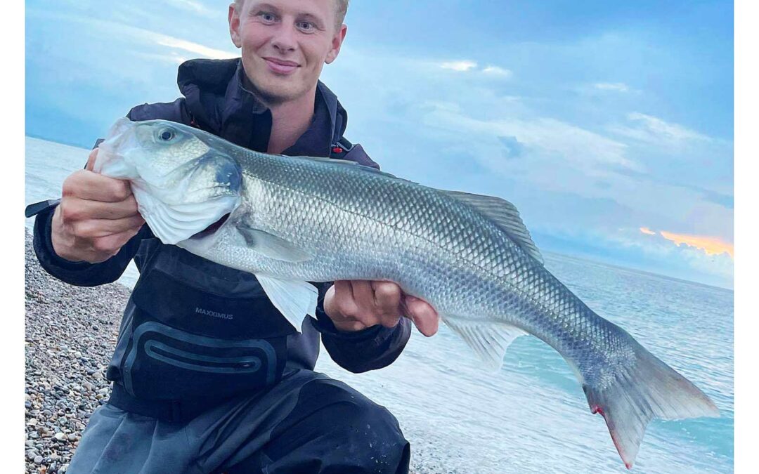 TÅLMODIGHED BELØNNET MED FLOT HAVBARS - Fisk & Fri