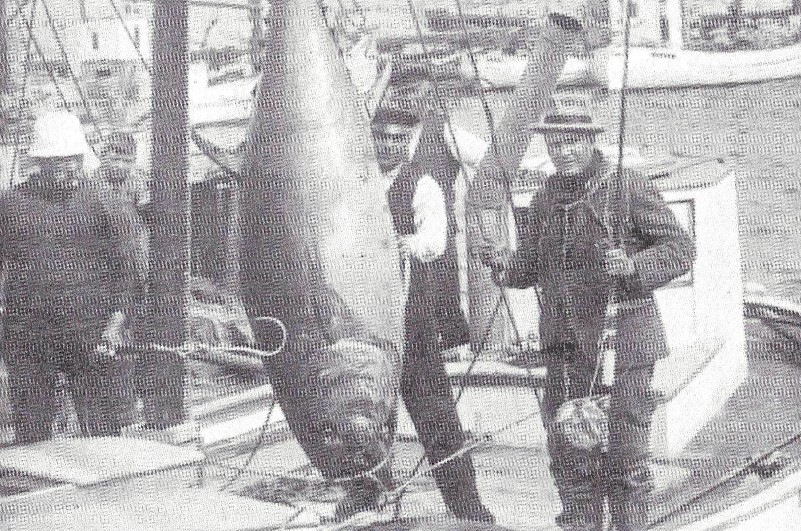 ZANE GREY: VERDENS STØRSTE BIG GAME FISKER - Fisk & Fri