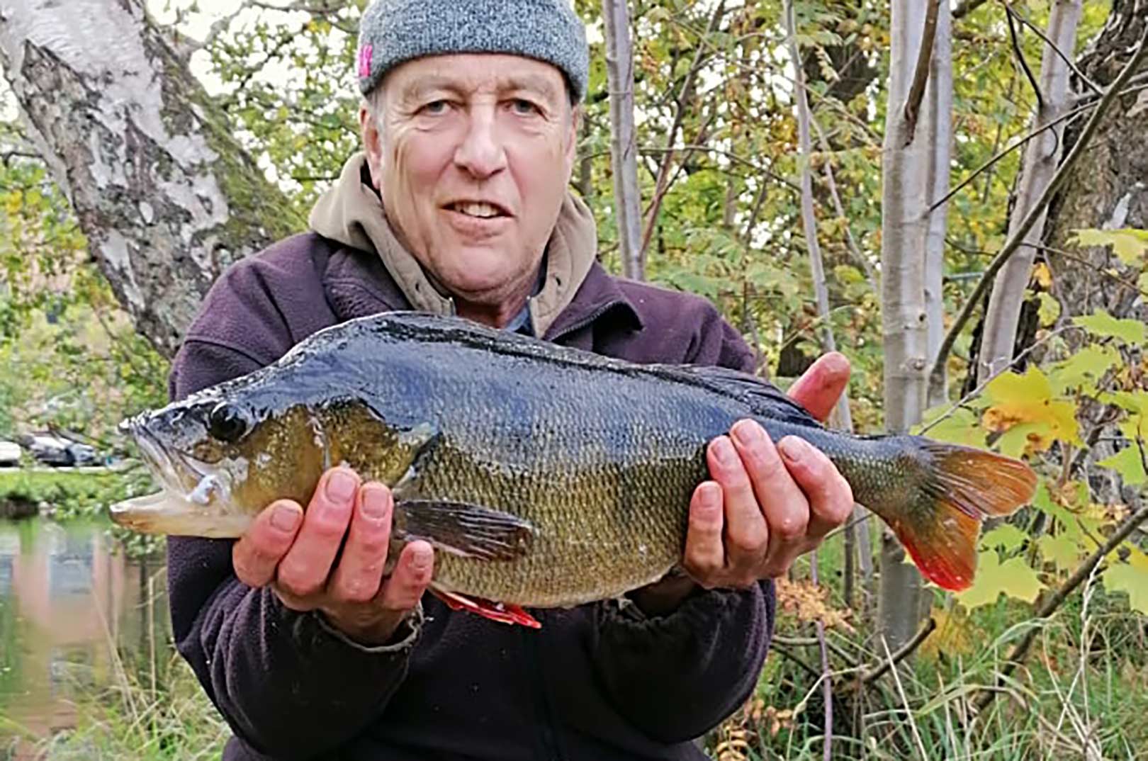 MIN FARS FØRSTE ”RIGTIGE” ABORRE - Fisk & Fri