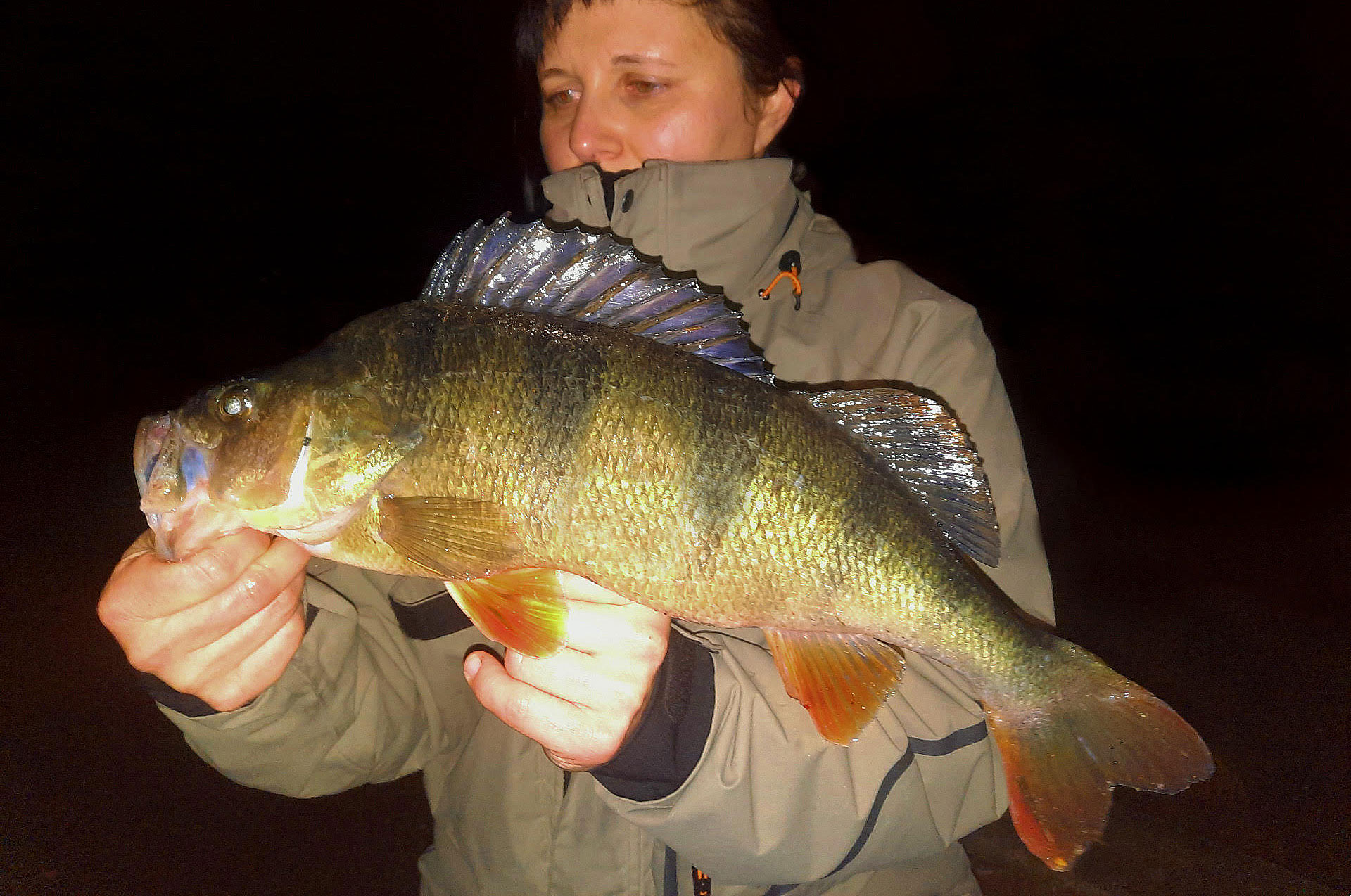 FLOTTE ABORRER - Fisk & Fri