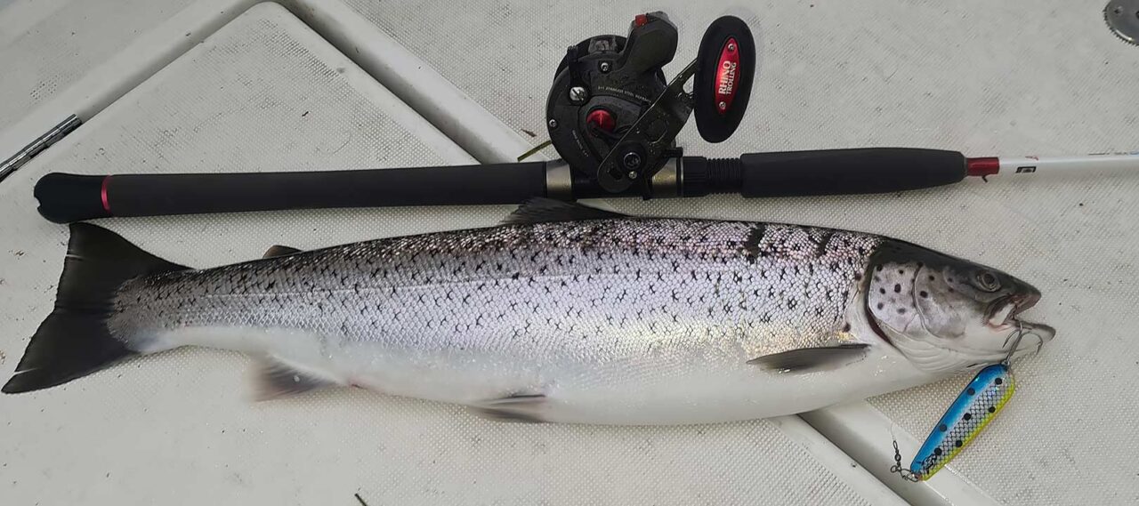 TROLLING: HAVØRREDFLEX PÅ ÅRETS FØRSTE TUR - Fisk & Fri