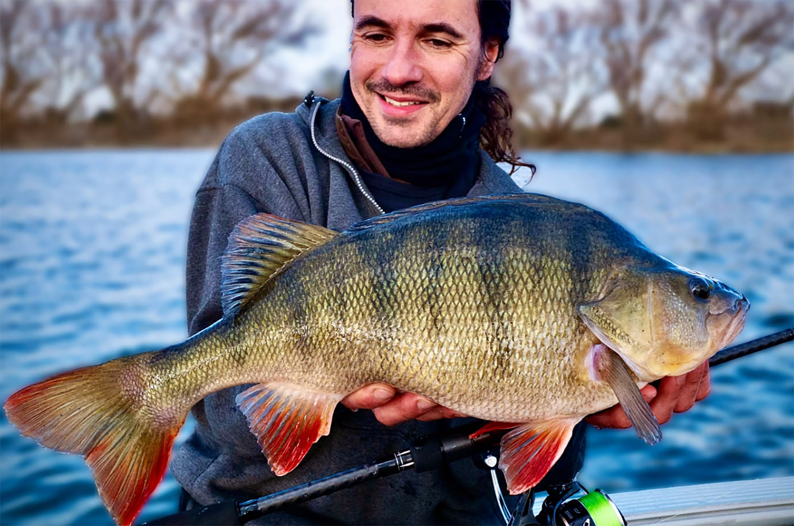 HVOR MANGE STRIBER HAR EN ABORRE – OG HVORFOR? - Fisk & Fri