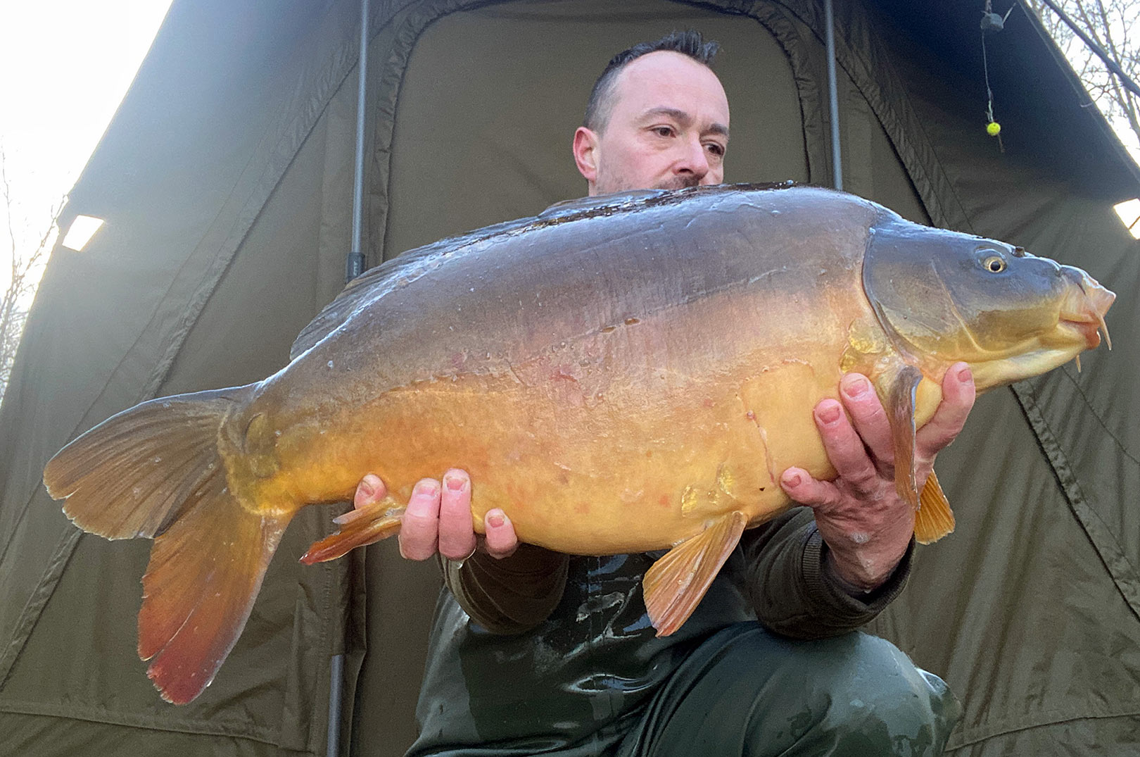 KARPER: Fra bekymring til en succes - Fisk & Fri