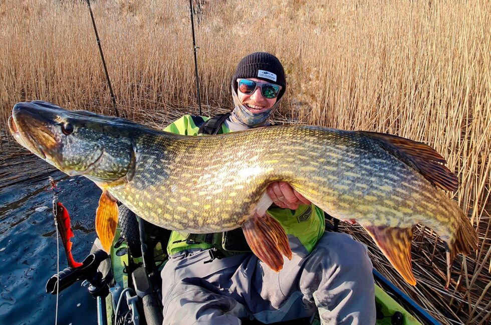 GEDDER: 2 x PR PÅ KASTEFISKERI - Fisk & Fri