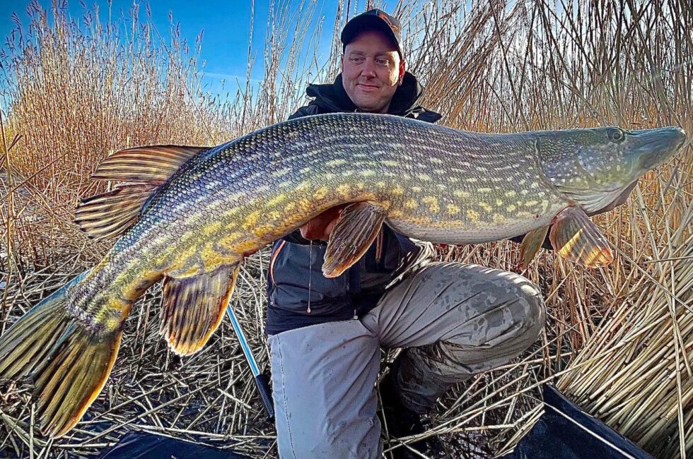 FLOT GEDDE FRA VÅGER I ISEN - Fisk & Fri