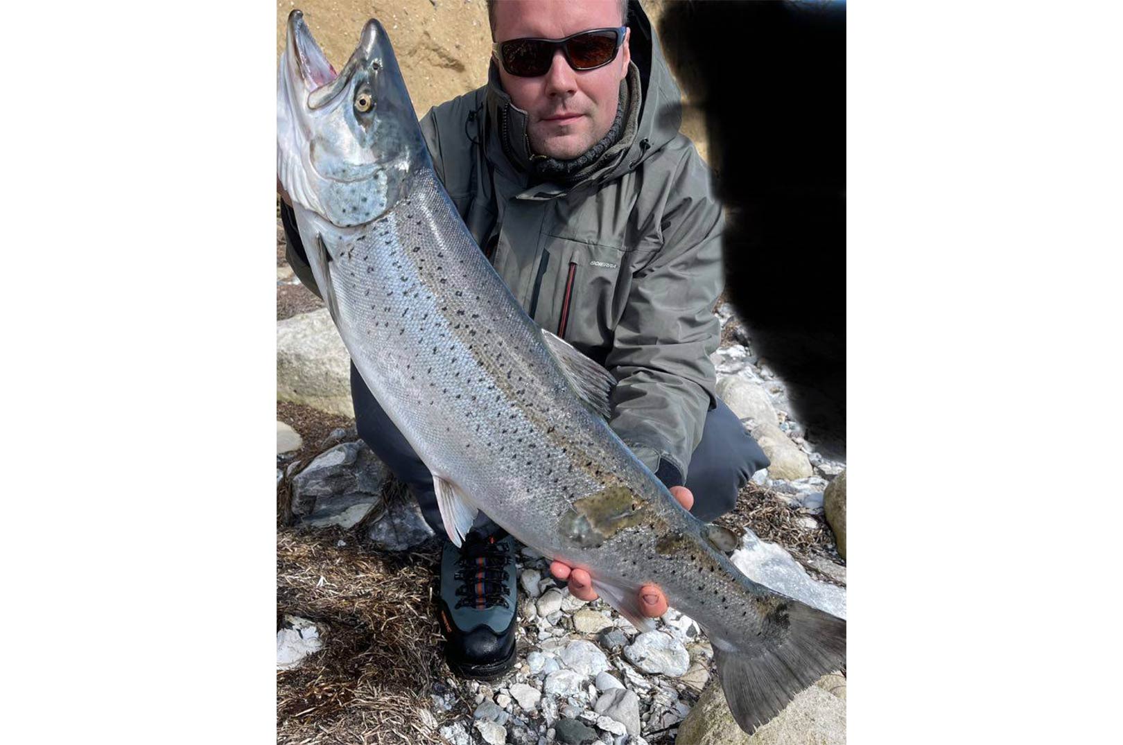 NY HAVØRRED-PR TIL JONAS - Fisk & Fri